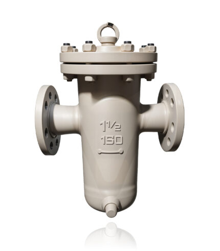 Y Type Strainers Manufacturer & Supplier in India