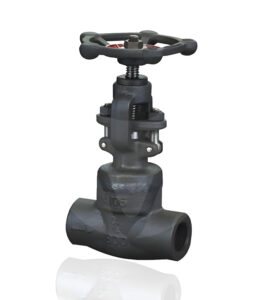 Angle Globe Valves Manufacturers in India - United Valves