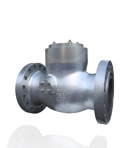 Pressure Seal Swing Check Valves Manufacturer in India